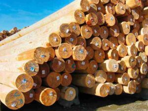Buy Utility Poles at Best Price in Dubai, UAE