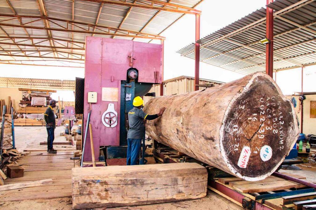 Wooden Gum Poles Suppliers & Exporters in Dubai, UAE